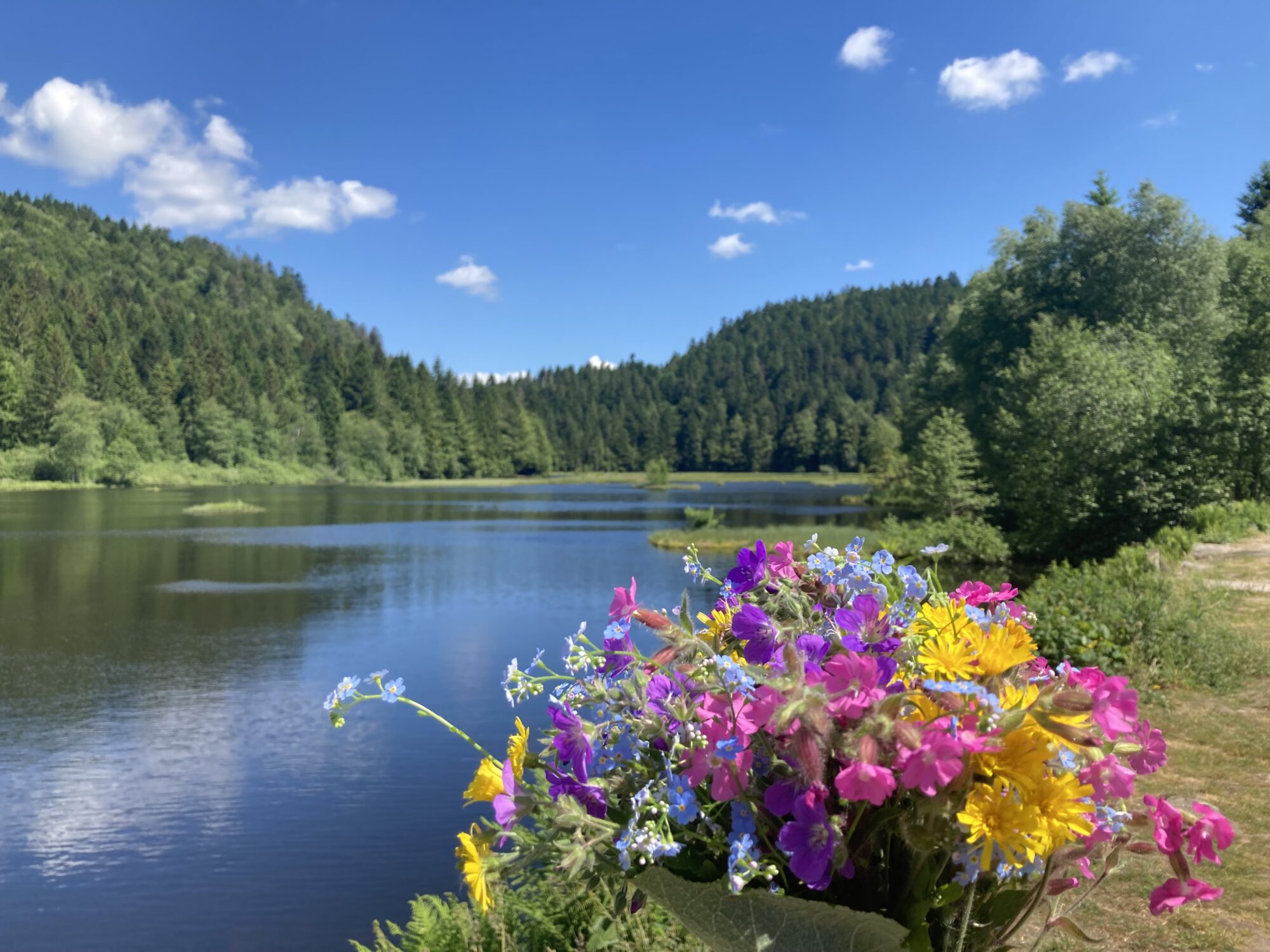 Découvrir le Grand-Est - Polytech Nancy