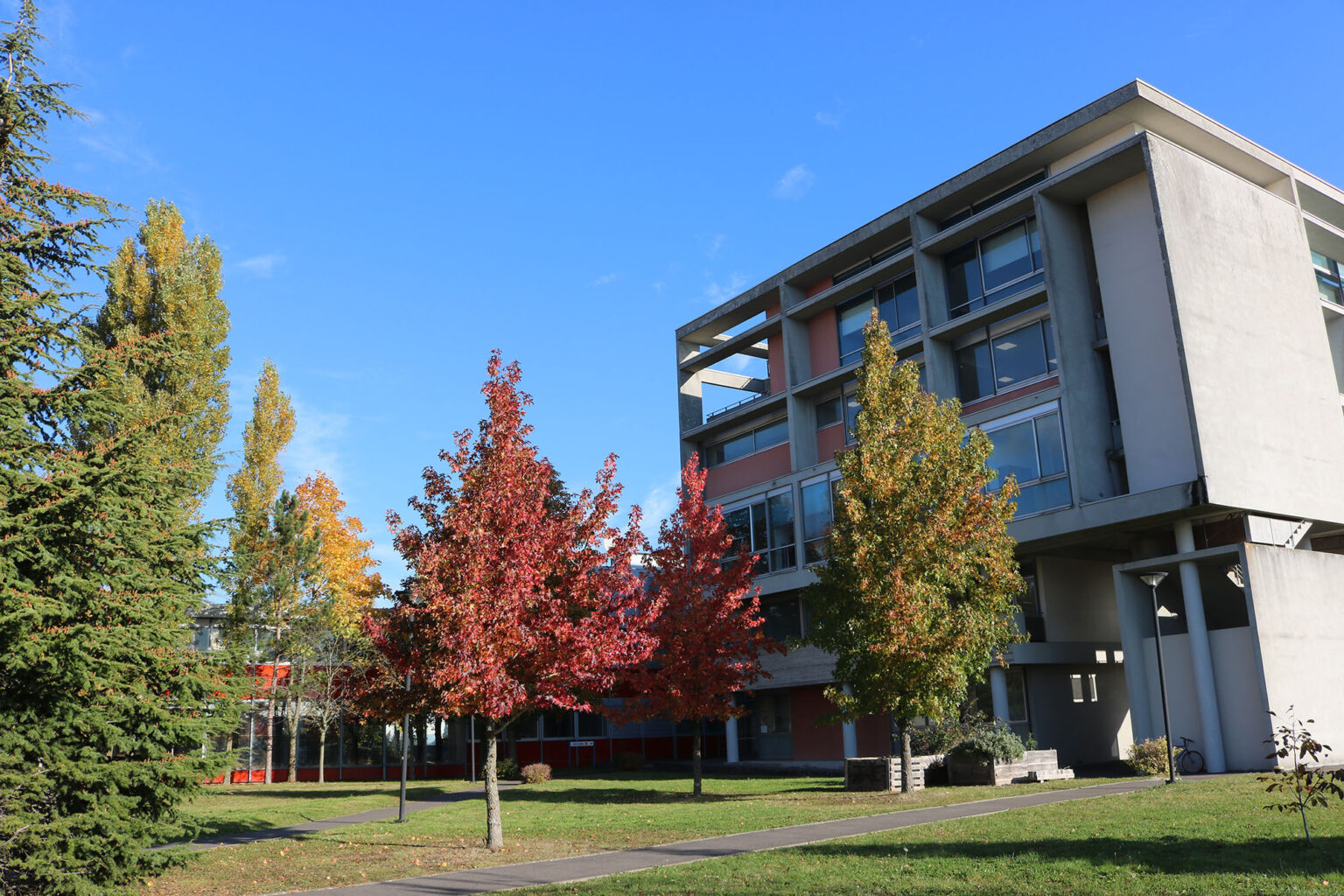 École - Polytech Nancy